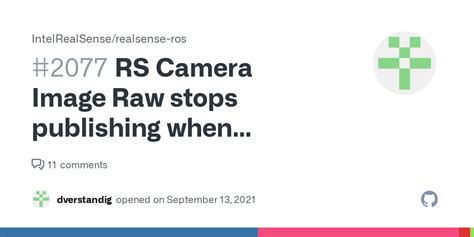 Rs Camera Image Raw Stops Publishing When Launching With Pointcloud