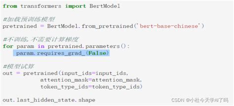 Huggingface 中文模型实战——中文文本分类 Csdn博客