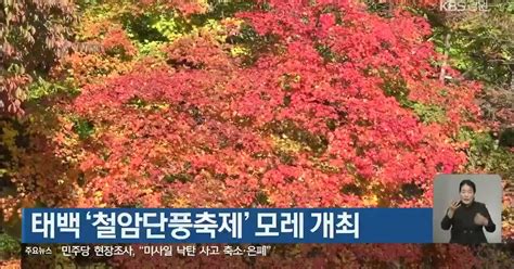 태백 철암단풍축제 모레 개최