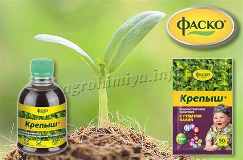 Удобрение Крепыш: виды, инструкция, отзывы, фото