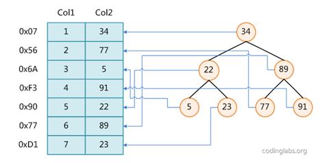 MySQL 性能优化 索引和查询优化 奇诺分享 ccino org MySQL 性能优化 索引和查询优化 奇诺分享 ccino org