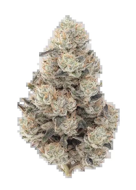 John Connor Cannabis Strain Information Growdiaries