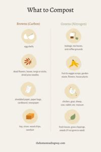 Composting For Beginners How To Get Started Now The Homesteading Way