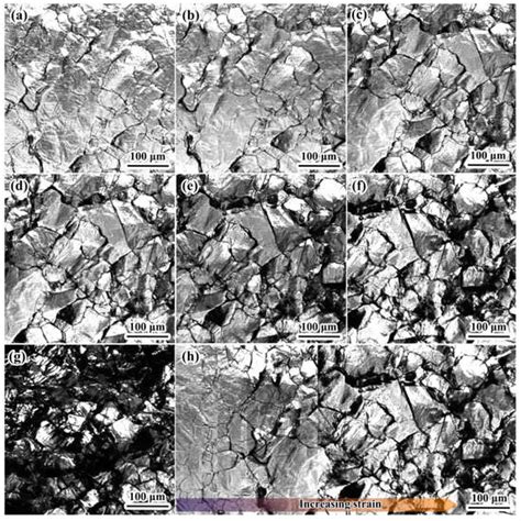 Metals Special Issue Modelling The Deformation Recrystallization
