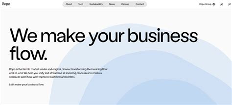 From Ropo Capital To Ropo Driving Business Success With The Premium Domain Smart