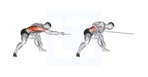 Cable Twisting Pull Rotational Lat Pull
