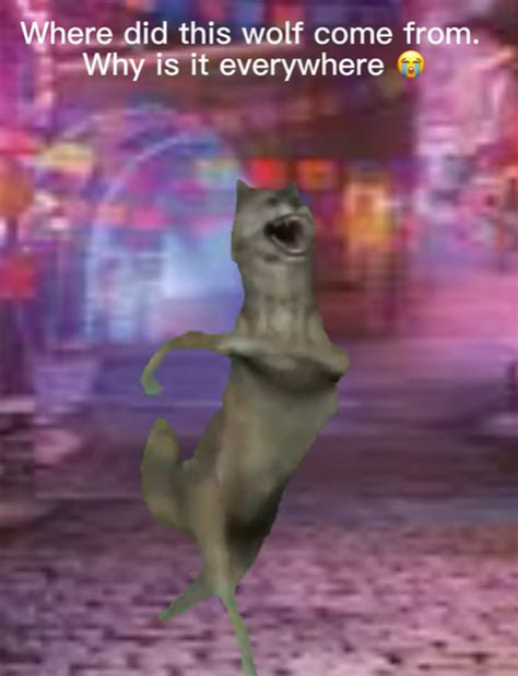 Dancing Wolf Origins Dancing Wolf Know Your Meme