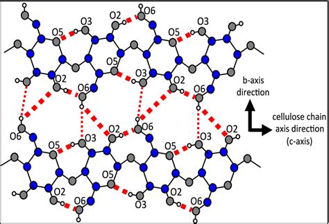 Key Cellulose Intra Sheetbased Inter Chain And Intra Chain Hydrogen