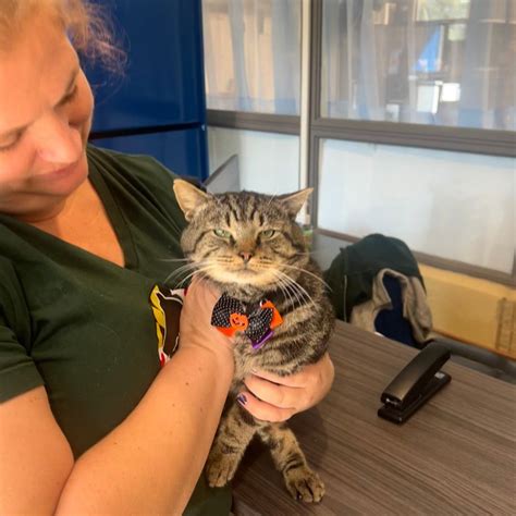 26daysofhalloween Kt World Communications