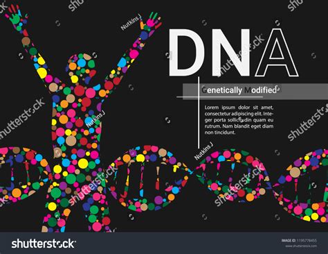 Genetic Engineering Infographic Vector Illustration Dna Stock Vector