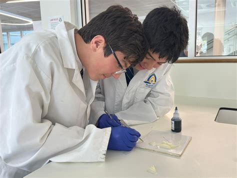 Year 7 Year 12 Playford College