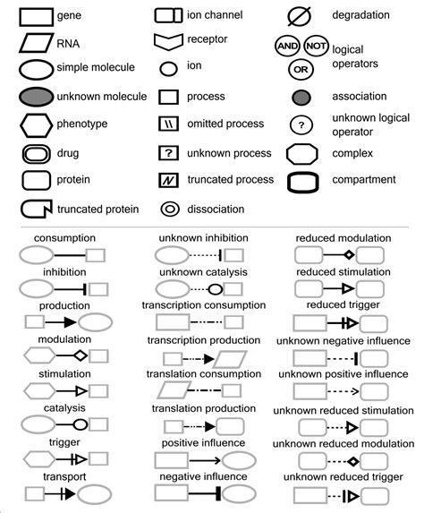 My Contributions To The Newt Project Umut Utku Ersahince