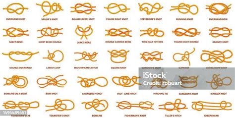 노란색 해상 로프 매듭 로프 케이블 테이프 또는 기타 유연한 선형 재료의 엇갈림 갈색에 대한 스톡 벡터 아트 및 기타 이미지 갈색 구부리기 국경 Istock