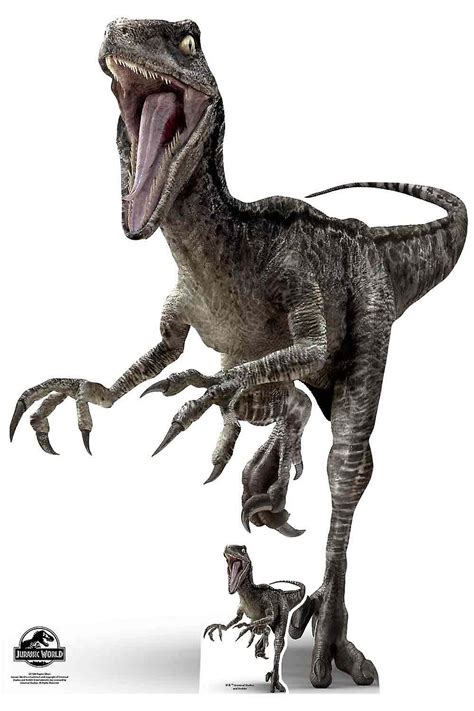Velociraptor Blue Dinosaur Official Jurassic World Lifesize Cardboard