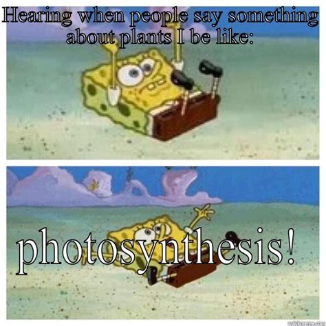 Photosynthesis Memes