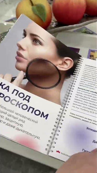 верстка тетради дизайн Shorts Indesign Design татуаж