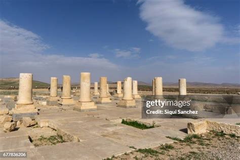 Thomb Photos And Premium High Res Pictures Getty Images