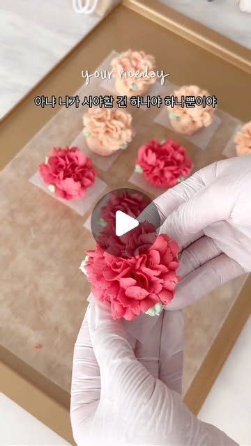 광명 앙금플라워 버터크림플라워 케이크 창업수업 유어라이스데이 On Instagram 지금 이 순간 사야할 건 단 하나 꼬소한 카네이션 쿠키🌸😆 오늘까지 사전예약 시