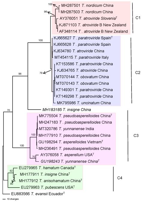 Trichoderma Population Structure And Genetic Diversity Of Species With High Potential For