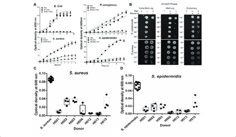 Effect Of Hair On The Growth Kinetics Of Bacteria A The Growth