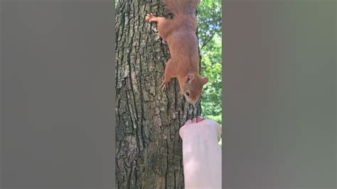 Olivia Came I Wanted To Feed Her From My Hand She Didnt Like It