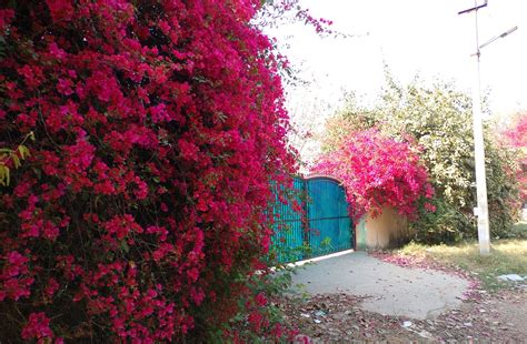 What Is Pre Text Data In Self Supervised Learning By Riteish