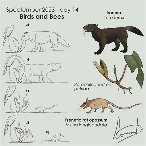Spectember Day 14 Birds And Bees By Leonardismos On Deviantart