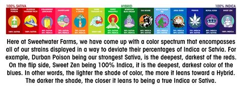 Blue Devil Glass Added A New Photo Blue Devil Glass