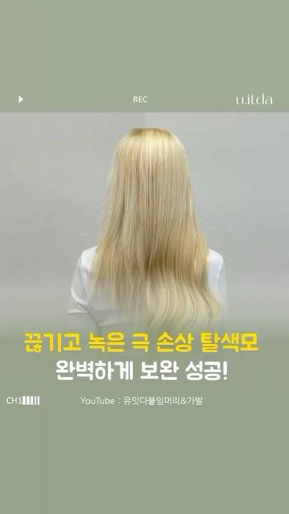 탈색으로 녹고 끊긴 머리 붙임머리로 복구 유잇다붙임머리 탈색붙임머리 탈색모붙임머리 20인치붙임머리 붙임머리관리 Koreanhairextensions Youtube