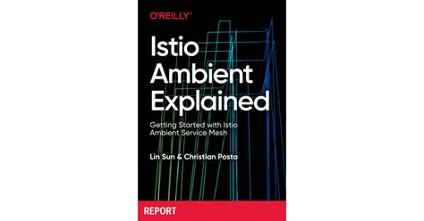 istio ambient explained [book]
