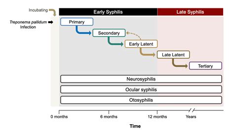Core Concepts Syphilis During Pregnancy And Congenital Syphilis