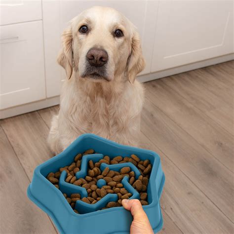 Relaxdays Anti Schrokbak Voor Honden Voerbak Grote En Middelgrote Honden 600 Ml