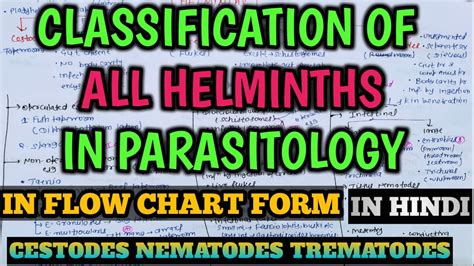 Parasitology Classification Of Helminths In Microbiology Cestodes