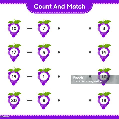 카운트 앤 매치 포도 의 수를 계산하고 오른쪽 숫자와 일치합니다 교육 어린이 게임 인쇄 워크 시트 벡터 일러스트레이션 0명에