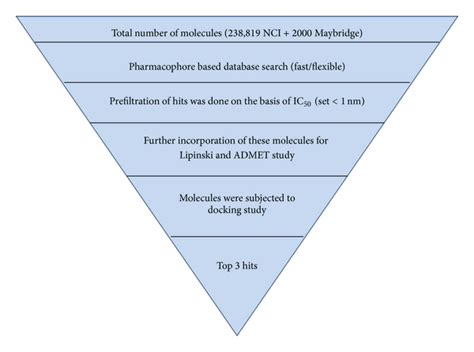 Diagrammatic Representation Of Virtual Screening Protocol Download