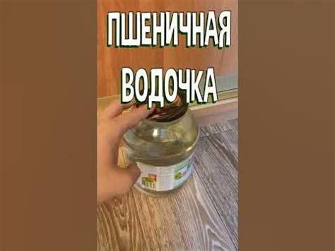 👍ДОМАШНЯЯ ПШЕНИЧНАЯ ВОДОЧКА #самогон #самогонныйаппарат #мужскоехобби # ...