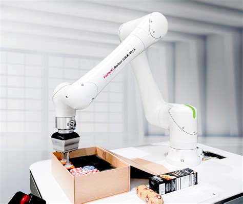 Robotic Case Packing Fanuc Tpc Packaging Solutions