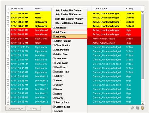 alarm status acknowledgement ignition user manual