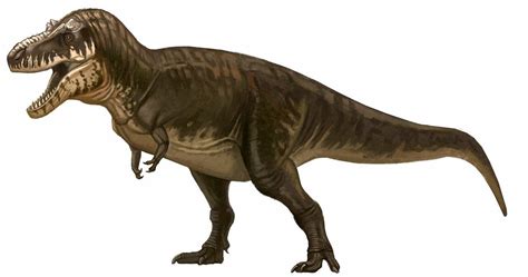 Tyrannosaurus Rex Paleoart