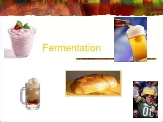 Ppt Fermentation Powerpoint Presentation Free Download Id