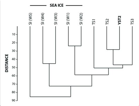 dendrogram resulting from the cluster analysis si sea ice sample