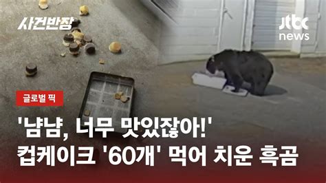 이 집 컵케이크 잘하네~ 60개 허겁지겁 먹어 치운 흑곰 Jtbc 사건반장 Youtube