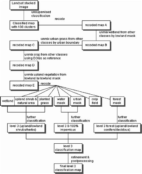 Major Steps In The Classification Procedure Download Scientific Diagram