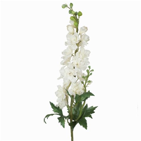 Delphinium Stem White 88cml Thanky