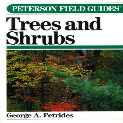 A Field Guide To Trees And Shrubs Peterson Field Guides