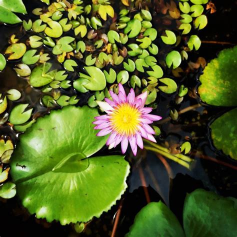 ‎rabbit And Turtle Ep By Nerse เนิส On Apple Music