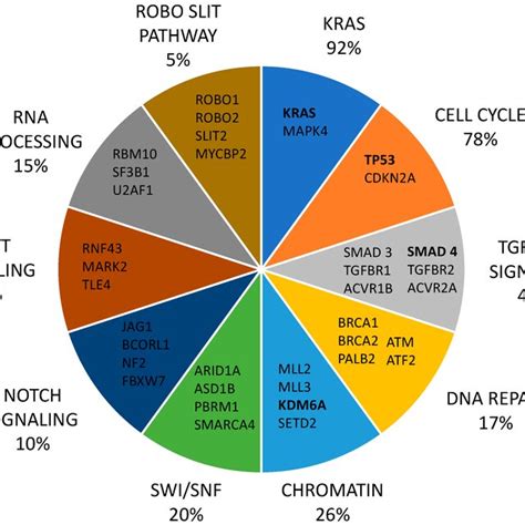 Mutational Landscape Of Pancreatic Ductal Cancer The Genetic