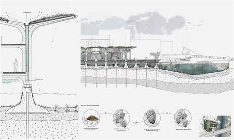Six Student Projects That Respond To Rising Sea Levels And Flooding