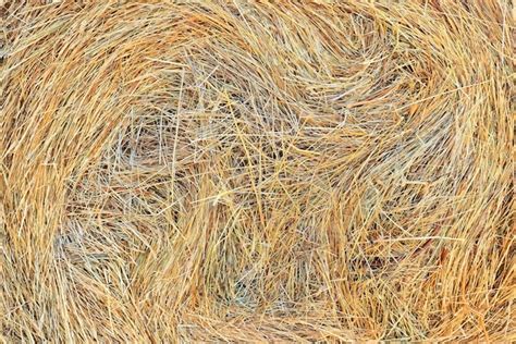 Premium Photo Straw Background Abstract Texture Grass Dry