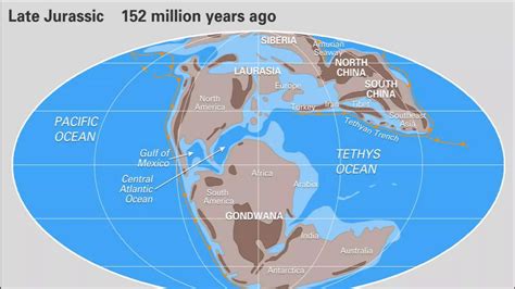The Evolution Of Insects Part Two Permian To Anthropocene Bug